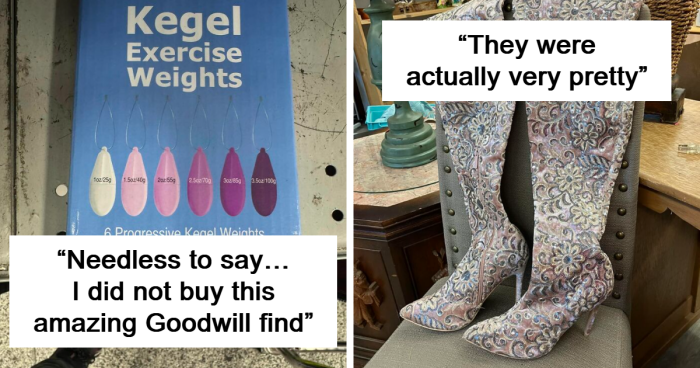 35 Times People Came Across Something So Unhinged At The Thrift Store They Had To Share