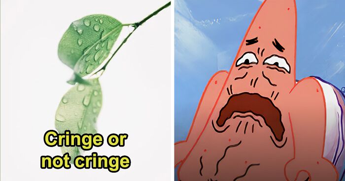 Let’s See How Cringe You Are Based On Your Answers To These Questions ...