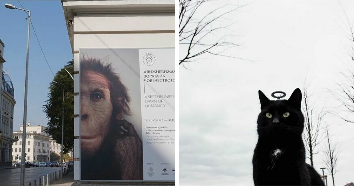 40 New Entertaining Street Photographs By Serkan Tekin Prove That Timing Is Everything | Bored Panda