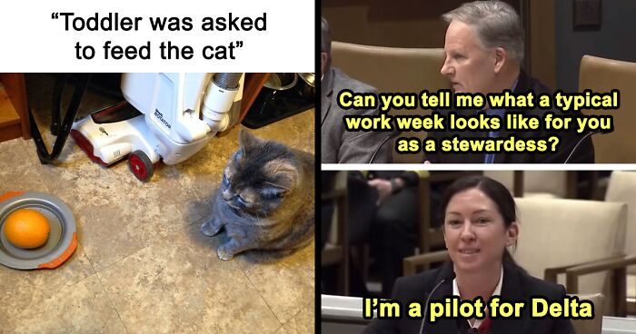 50 Of The Most Hilarious Fails Following “An Attempt Being Made” (Best ...