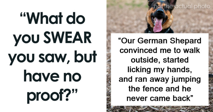 “One Of The Most Terrifying Experiences”: Things People Swear They’ve ...