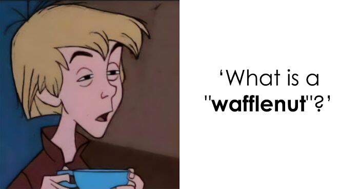 22 Urban Dictionary Entries And You Need To Guess What Each Means