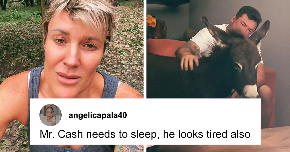 Viral Couple Who Stayed To Care For Animals Reveal Farm’s Destruction ...