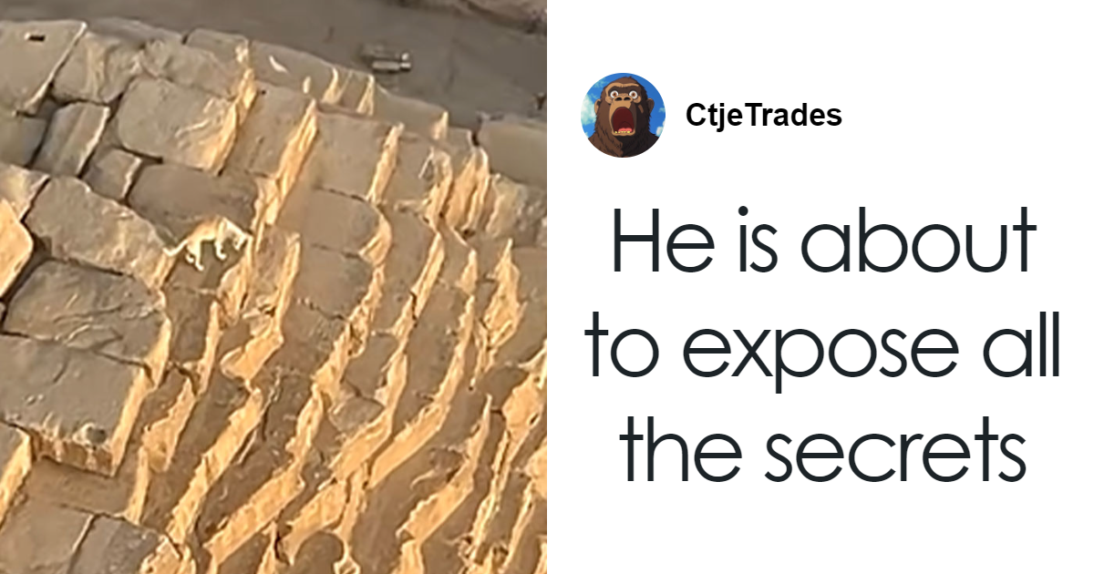 “It’s His Now”: Viral Dog That Climbed The Pyramid Of Giza Finally ...