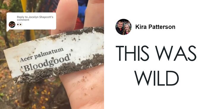 “There’s Obviously A Body”: Woman Discovers Rug In Her Yard, Suspects ...