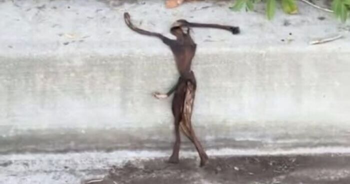 50 Puzzling Pics That Need To Be Looked At Twice To Understand What’s ...