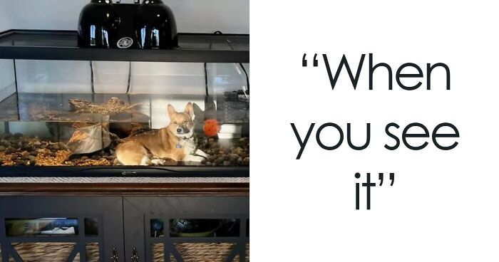 50 Puzzling Pics That Need To Be Looked At Twice To Understand What’s ...