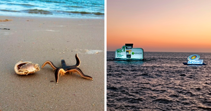 50 Times People Found Quirky Treasures Washed Ashore (New Pics)