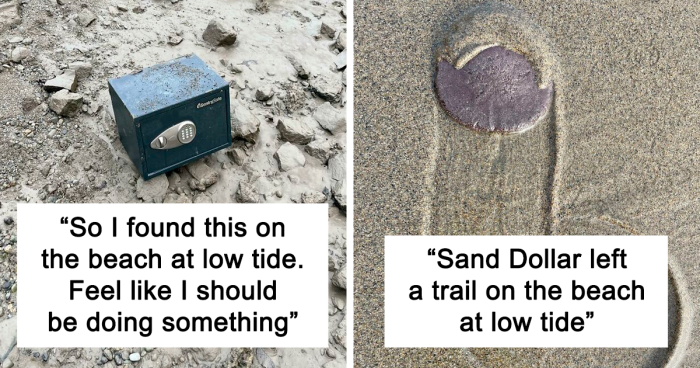 50 Times People Found Quirky Treasures Washed Ashore (New Pics)