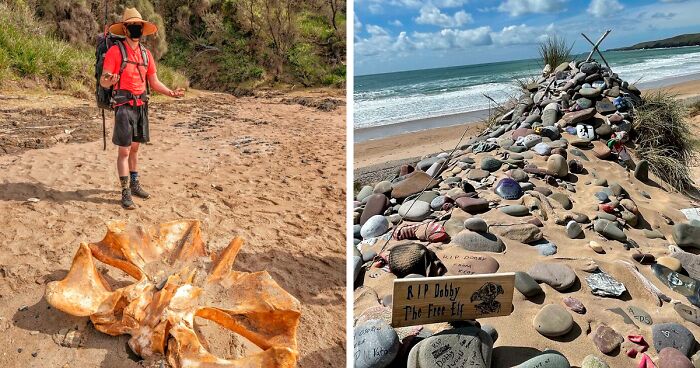 50 Times People Found Quirky Treasures Washed Ashore (New Pics) | Bored ...