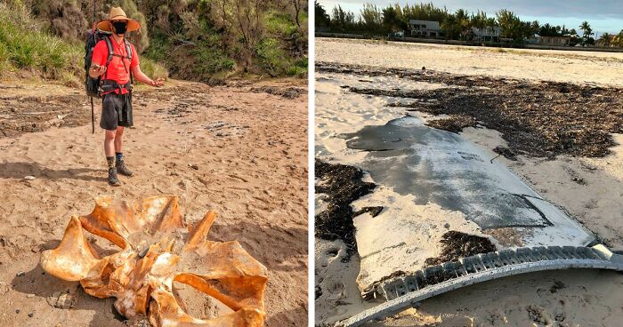 50 Times People Found Quirky Treasures Washed Ashore (New Pics)