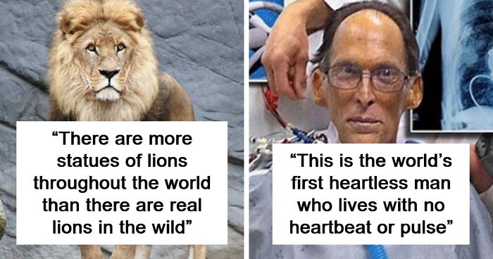 50 Facts For Those Who Are Constantly Curious About The World (New Pics ...