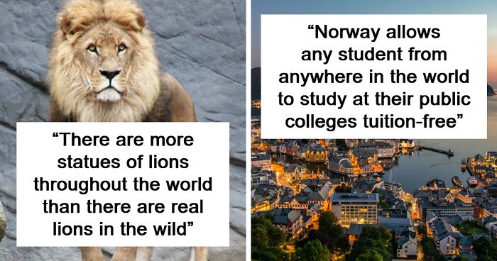 50 Facts For Those Who Are Constantly Curious About The World (New Pics ...