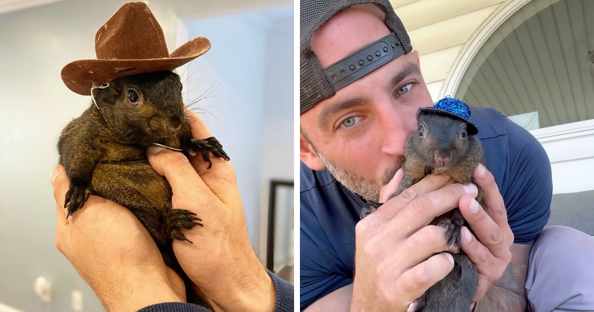 Lead Investigator Behind Peanut The Squirrel Raid Revealed As NY State ...