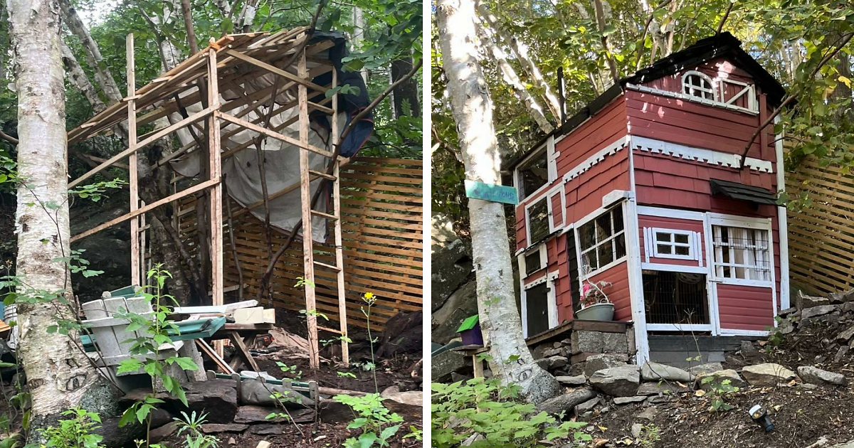 I Built Whimsical Treehouse, And Here’s How It Turned Out | Bored Panda