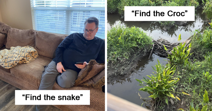 30 Times Objects Seamlessly Merged Into The Background (New Pics)