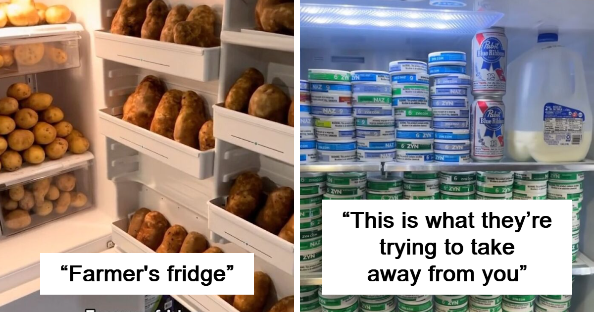 Fridge Food Memes