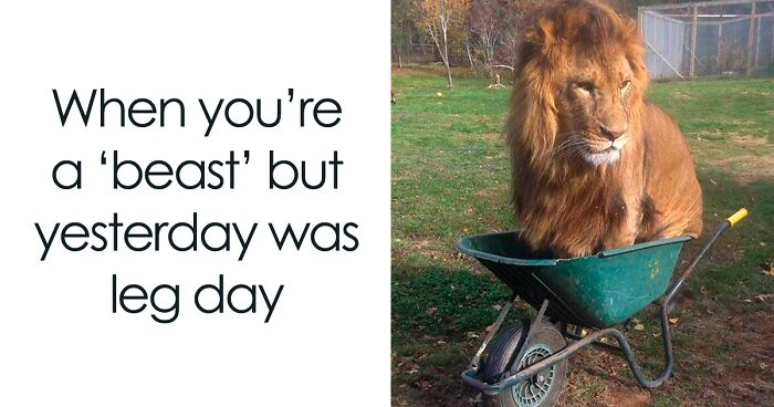 30 Funny Gym Memes For Everyone Who Knows The Agony Of ‘Just One More Rep’