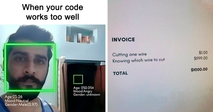 30 IT Memes That Might Help You If Your Last Braincell Had A System ...