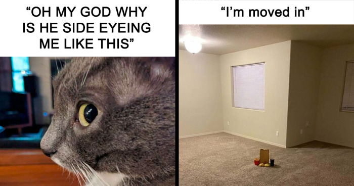 ‘Unbruthered’: 40 Totally Random Memes That Escalate Quickly | Bored Panda
