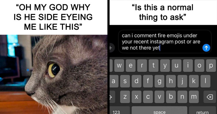 ‘Unbruthered’: 40 Totally Random Memes That Escalate Quickly | Bored Panda