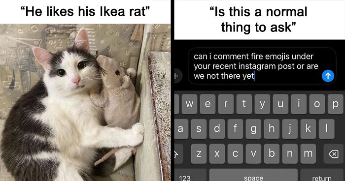 ‘Unbruthered’: 40 Totally Random Memes That Escalate Quickly | Bored Panda