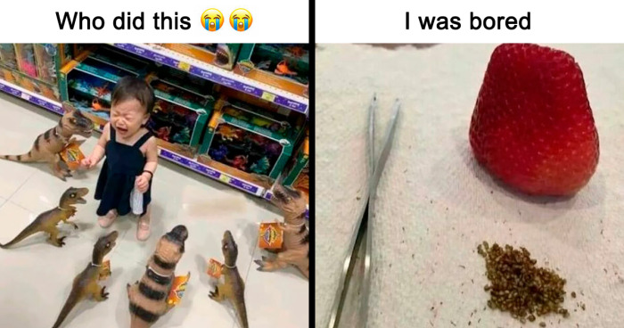 50 Random Memes That Have No Business Being This Funny