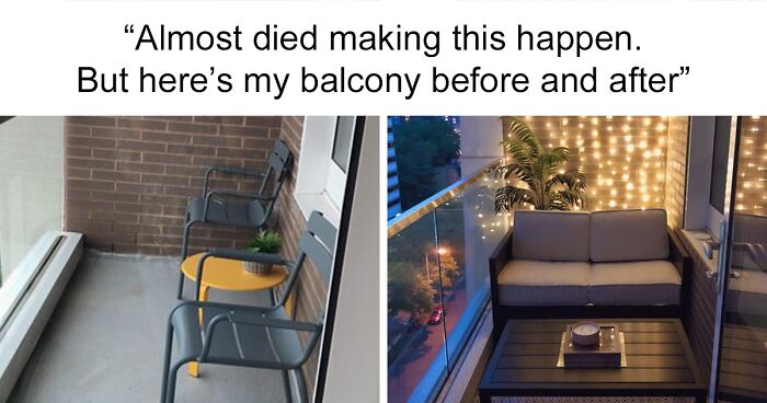 50 Random Memes That Have No Business Being This Funny