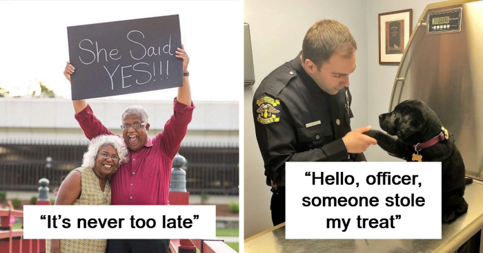 50 Wholesome “Eye Bleach” Pics To Cleanse Your Eyes From The Horrors Of ...