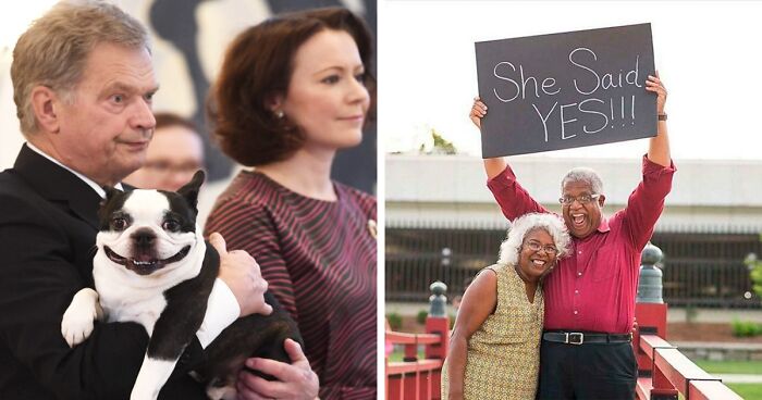 50 Wholesome “Eye Bleach” Pics To Cleanse Your Eyes From The Horrors Of ...