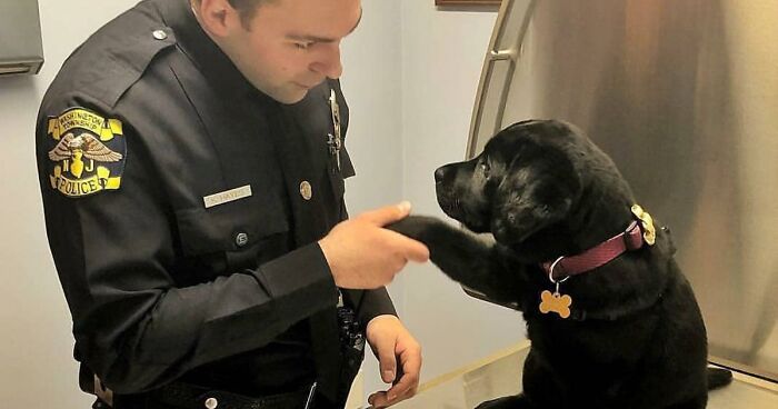 50 Wholesome “Eye Bleach” Pics To Cleanse Your Eyes From The Horrors Of ...