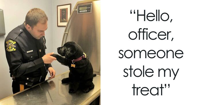 50 Wholesome “Eye Bleach” Pics To Cleanse Your Eyes From The Horrors Of ...