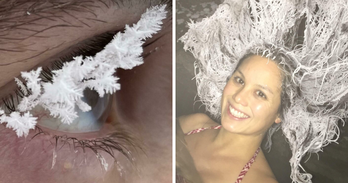 88 Wild Winter Photos That Will Give You Frostbite Just By Looking At ...