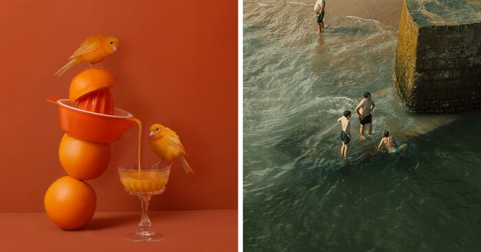 25 Striking Photos From AAP Magazine’s 43rd Contest That Celebrate ...