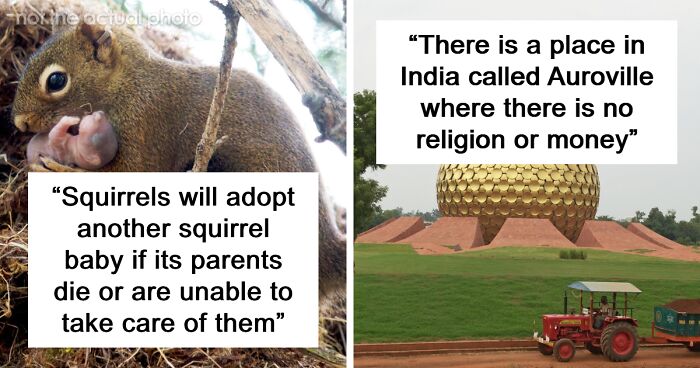 50 Random And Interesting Facts You Might Not Know About The World