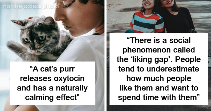 50 Reassuring Facts Not Everyone Might Be Aware Of, According To People ...