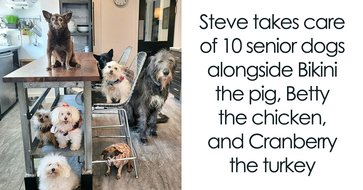 Retiree Is On A Mission To Give Loving Home Exclusively To Senior Dogs ...