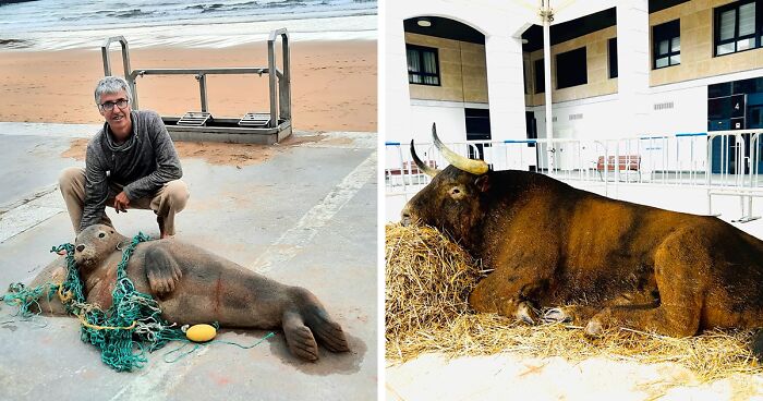 This Artist’s Sand Sculptures Are So Lifelike, They Might Fool You At ...