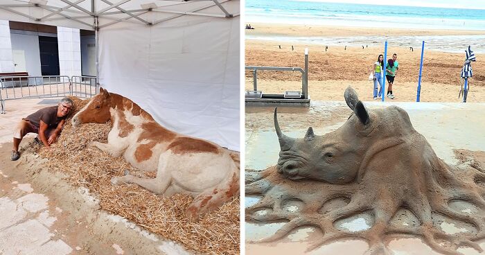 This Artist’s Sand Sculptures Are So Lifelike, They Might Fool You At ...