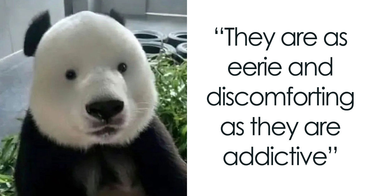 Mascara Panda Memes Panda Mascara Memes