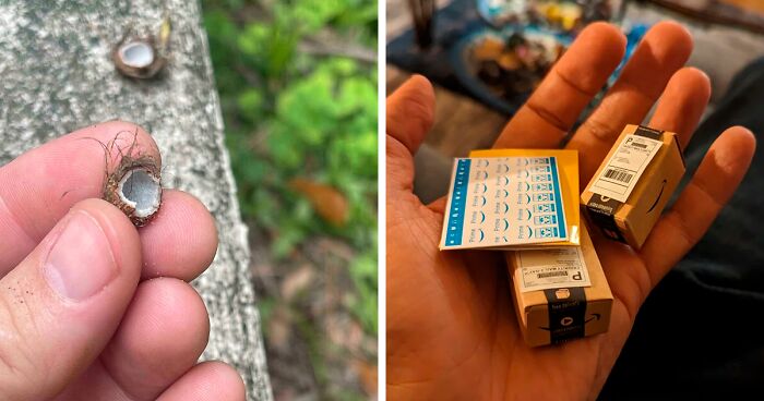 “What Is This?”: 50 Times People Spotted Something So Small, They Just ...