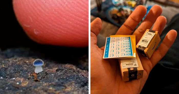 “What Is This?”: 50 Times People Spotted Something So Small, They Just ...