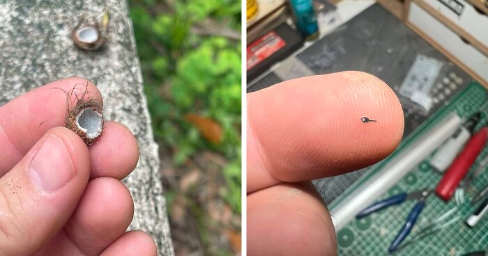 “What Is This?”: 50 Times People Spotted Something So Small, They Just ...