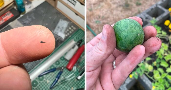 “What Is This?”: 50 Times People Spotted Something So Small, They Just ...