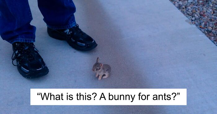 “What Is This?”: 50 Times People Spotted Something So Small, They Just ...