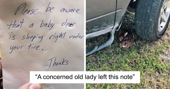 “Giving Every Day”: 50 “Good News” Stories That Prove There’s Still ...