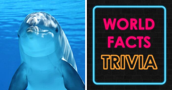 20 Interesting World Facts Trivia To Learn And Exercise Your Brain ...