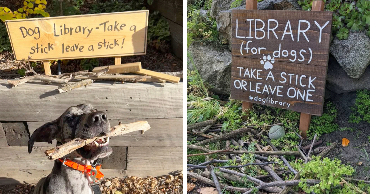Adorable Idea Of Stick Library For Dogs Is Melting People’s Hearts All ...