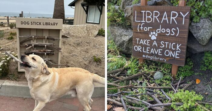 Adorable Idea Of Stick Library For Dogs Is Melting People’s Hearts All ...
