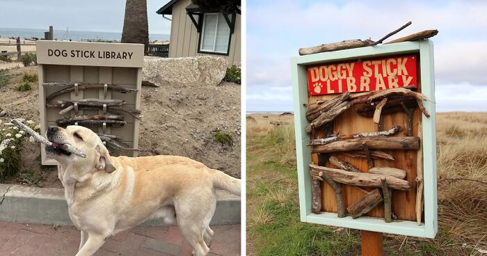Adorable Idea Of Stick Library For Dogs Is Melting People’s Hearts All ...